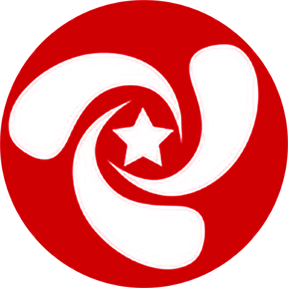 SAP S/4 HANA BP配置-咨询说